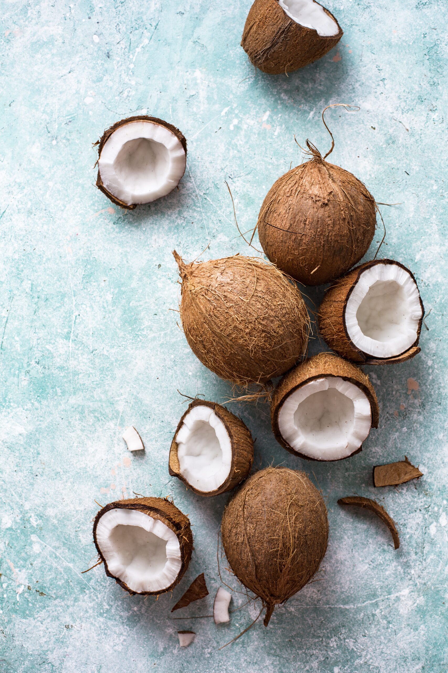Coconut Product Manufacturer & Exporter | Tahoma Coconut Products
